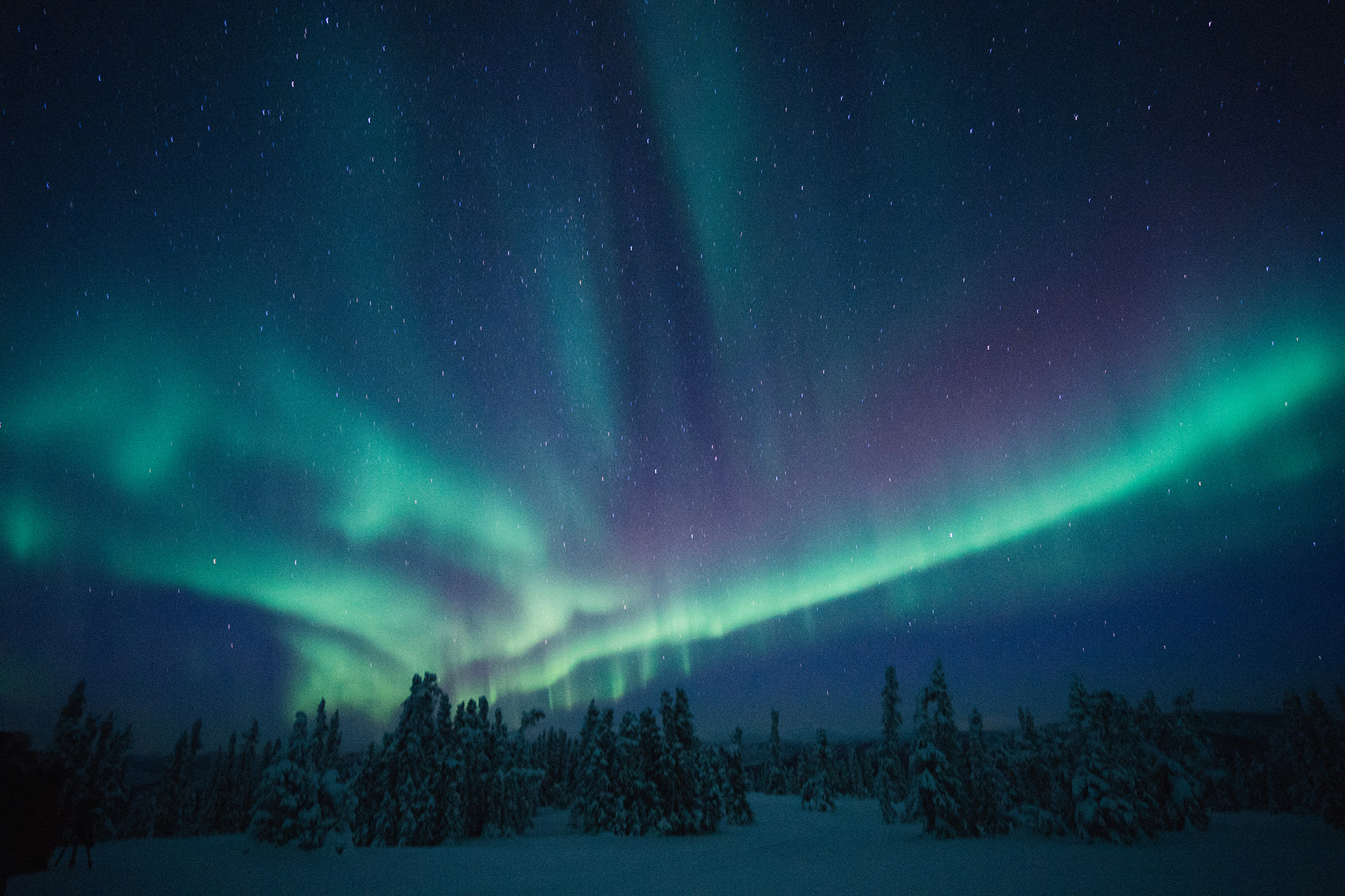 Aurora colours: what causes them?