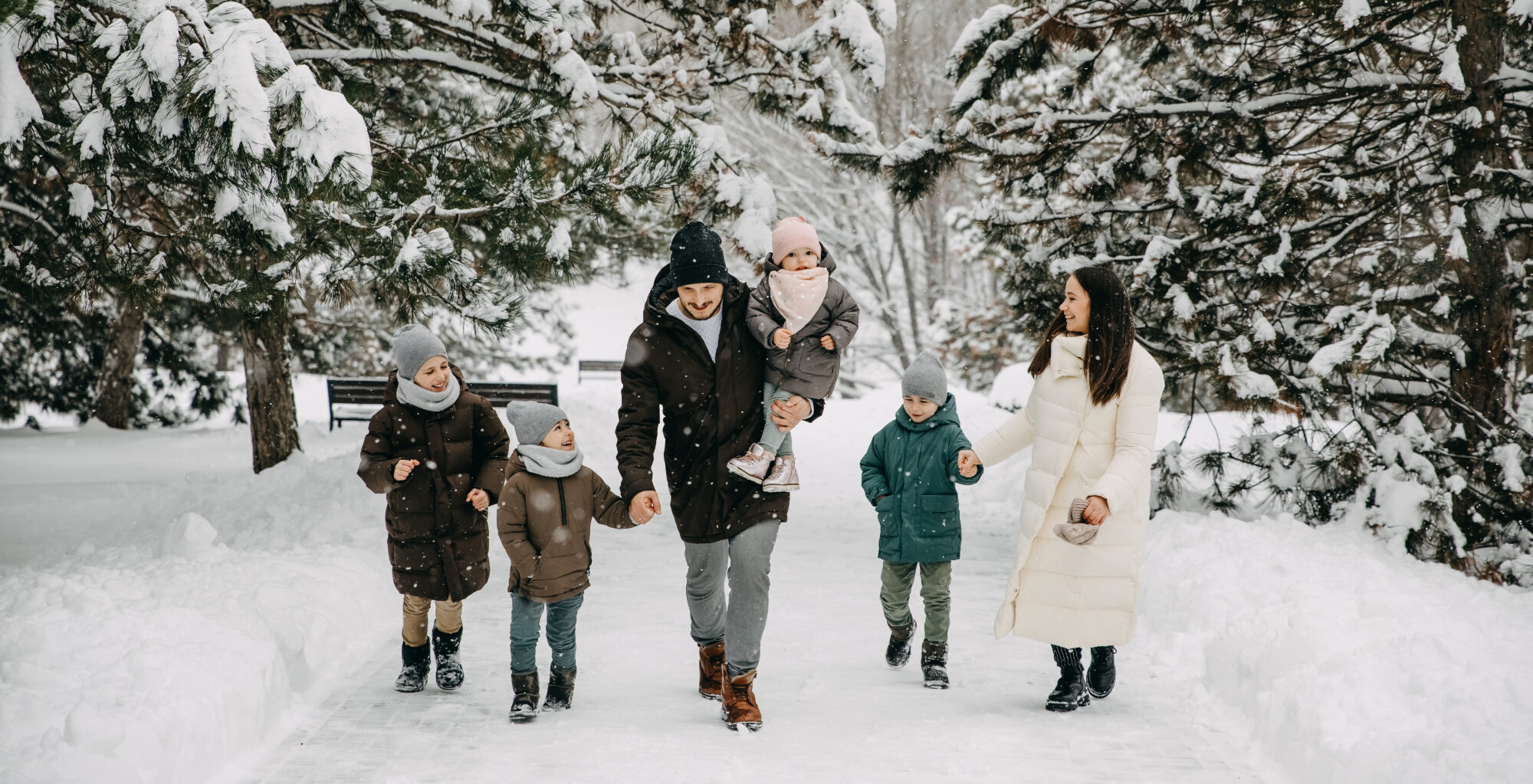 | Aurora Nights The Northern Lights Holiday Experts